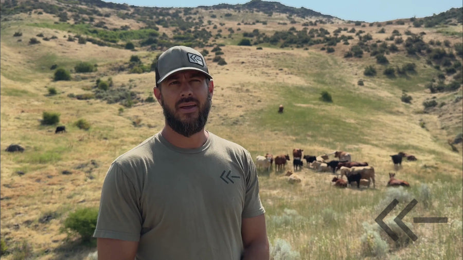 Local, Grassfed Beef | Boise, ID | Stack Rock Ranch